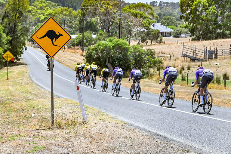 Teams confirm fractures for two riders injured in kangaroo crash in ...