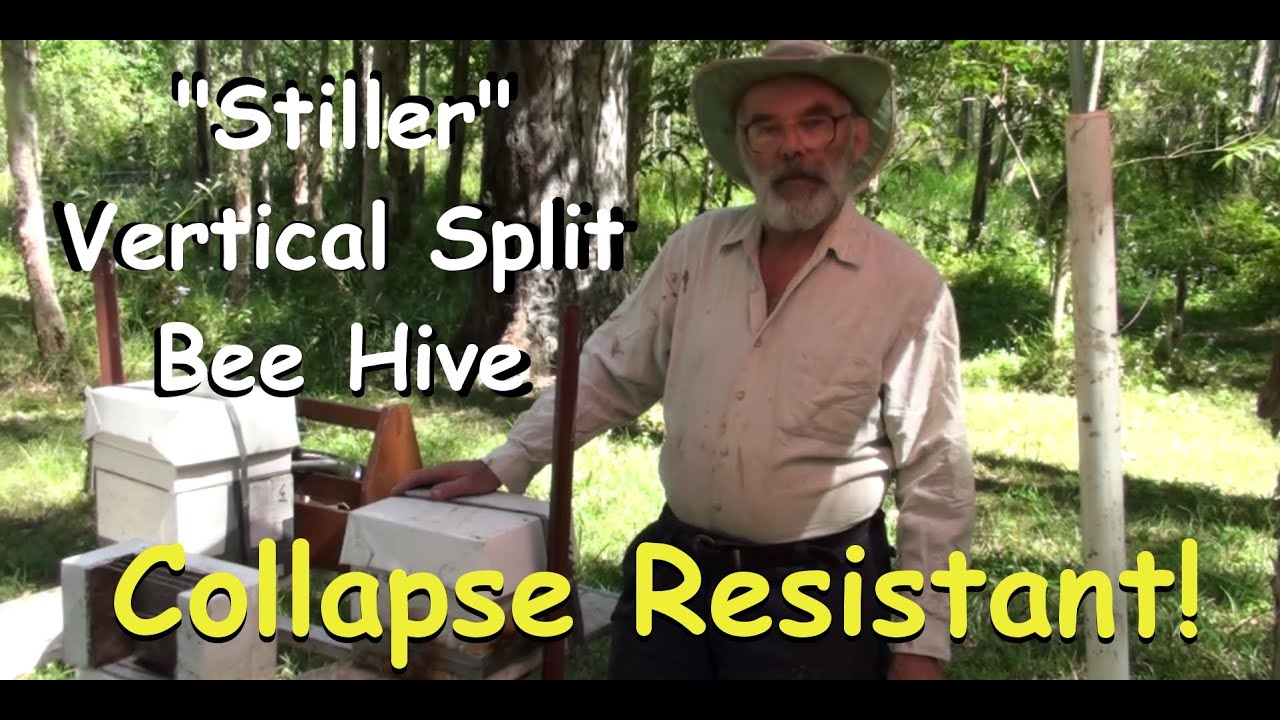 Stiller Carbonaria vertical split collapse resistant brood box for ...