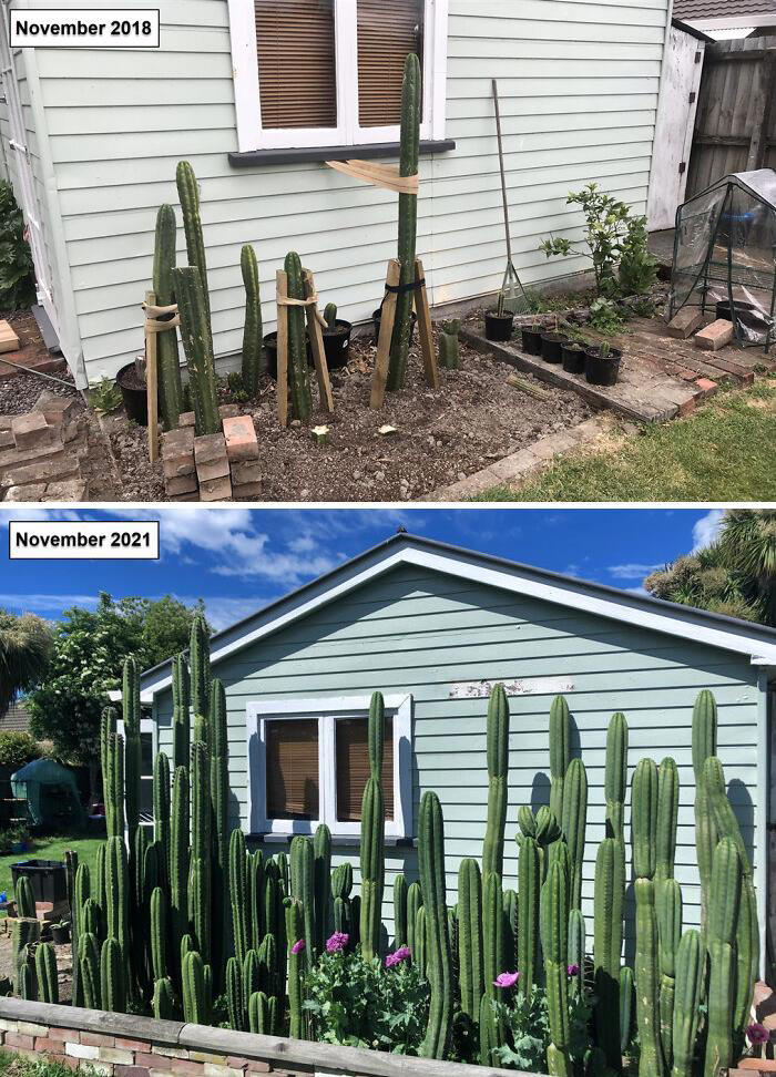 47 of the best pics from the 'Gardening' online group