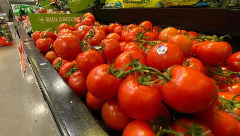 Some Canadians will get GST credit top up to tackle grocery costs: Carney