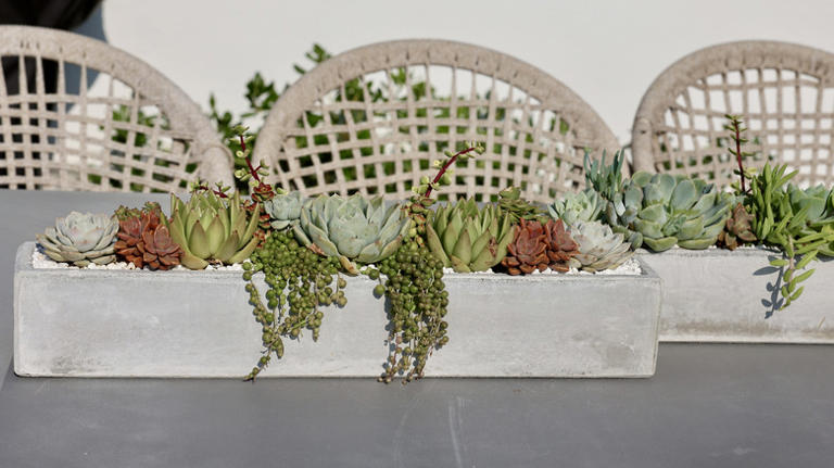Pots vs planters: What is the difference really? And which do you need?