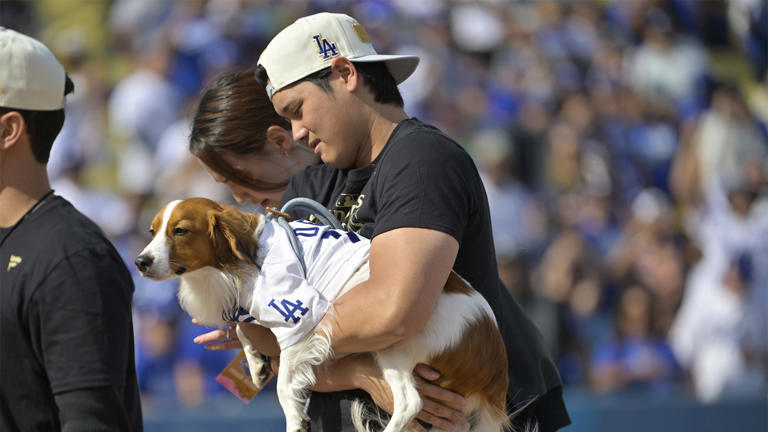 The award Dodgers star Shohei Ohtani’s dog Decoy just won