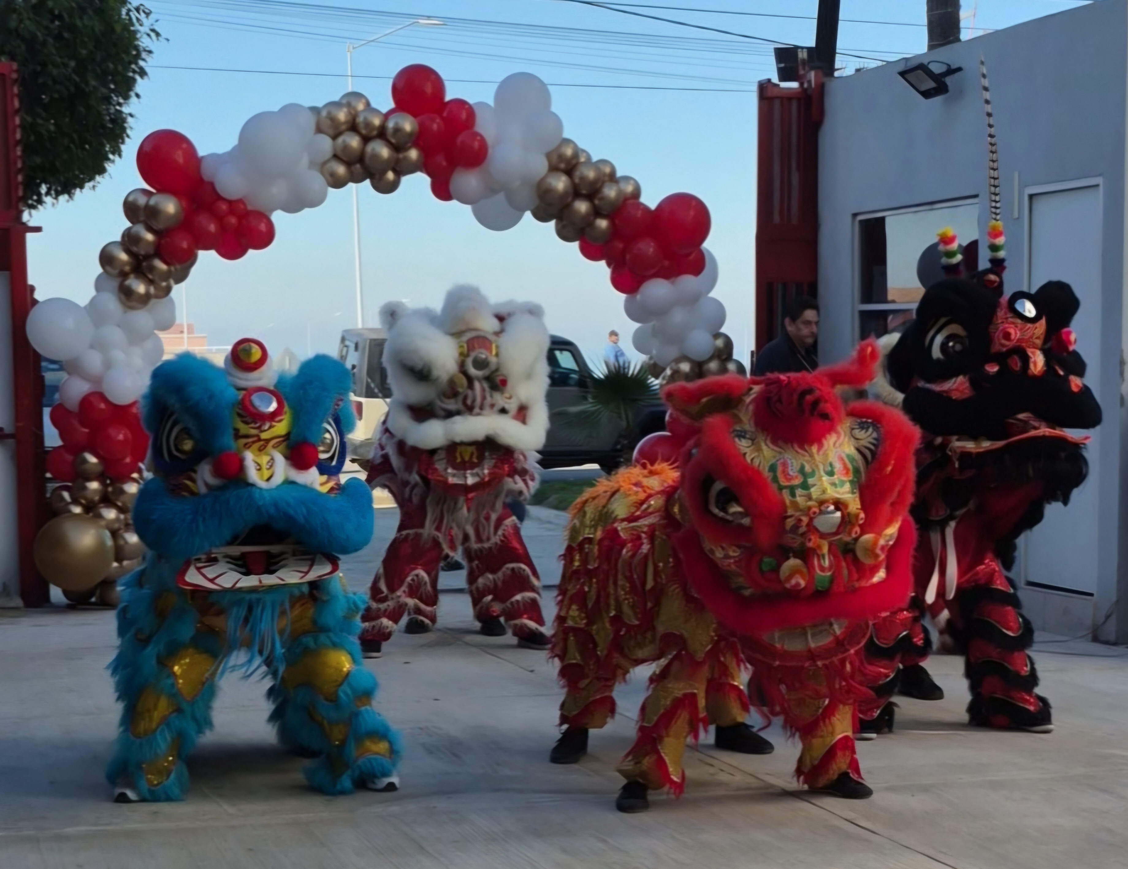 Invitan a aprender la danza del león y otras disciplinas de China
