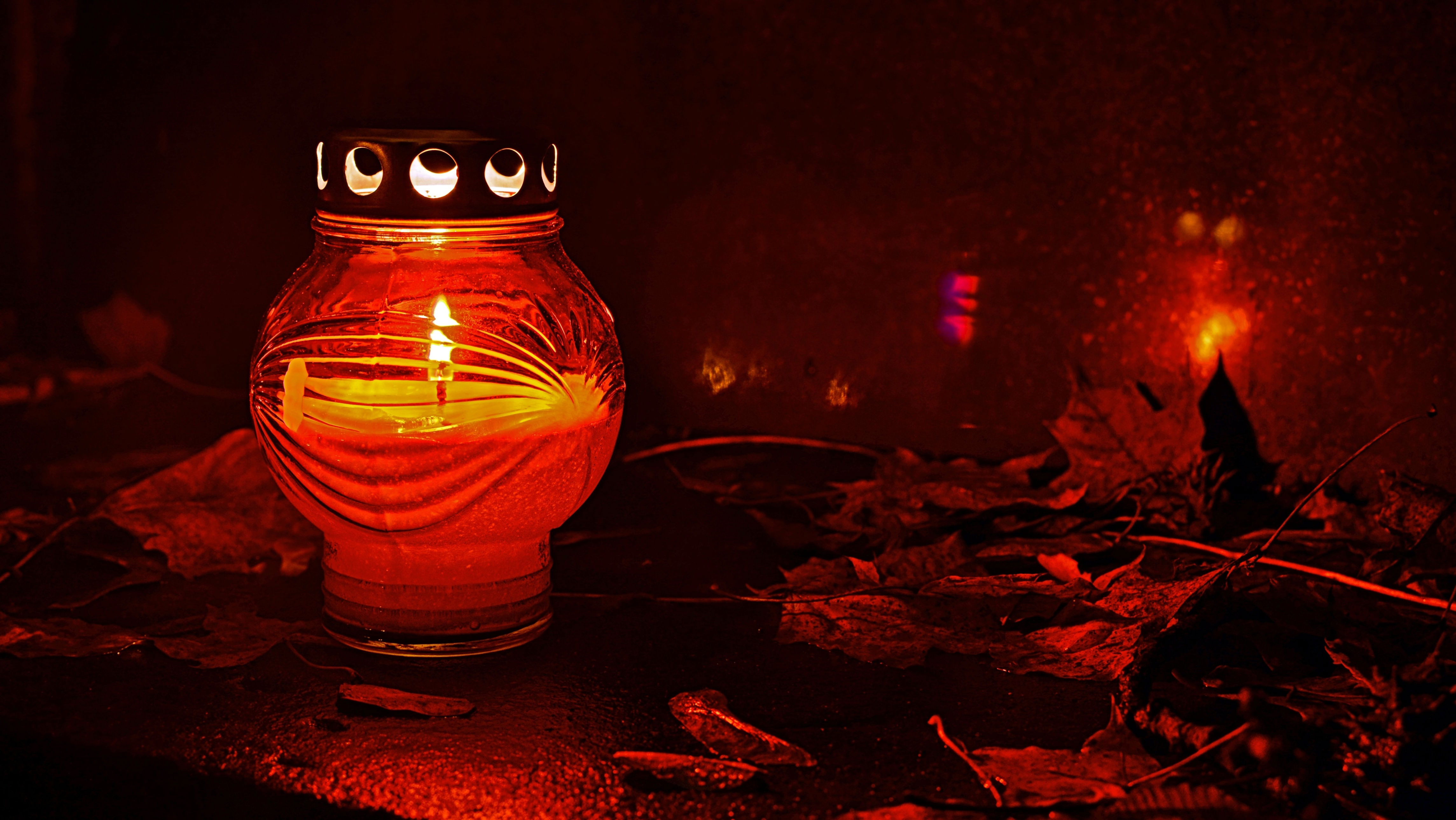 Świat nauki stracił wybitną badaczkę. Profesor kształciła pokolenia medyków