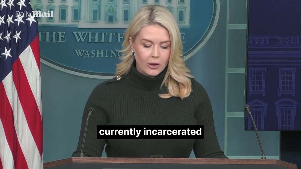 Leavitt says Trump outlined to Walz 'clear path' to restoring order