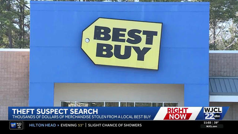 Savannah Best Buy employee says 'hacker group' blackmailed him into ...