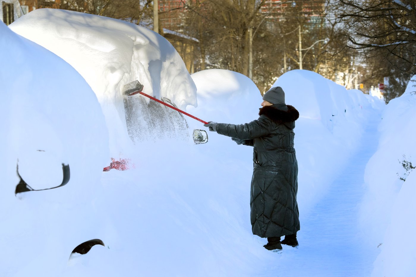 Cleanup will take 'days' after record-breaking Toronto snowstorm, city ...