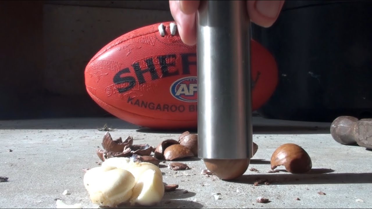 Maca Craca macadamia nut cracker review