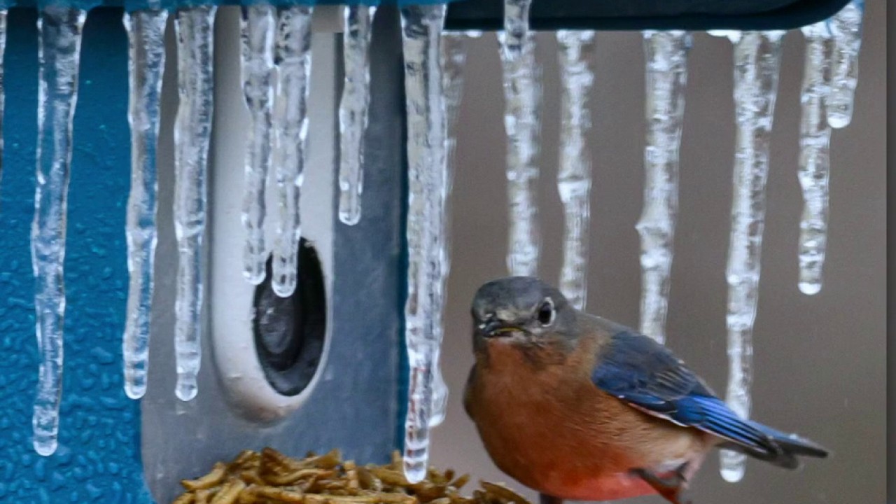 See your photos and videos on FOX 5 Atlanta!