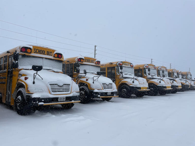 Fallout of winter storm cancels school buses, exams in Windsor-Essex