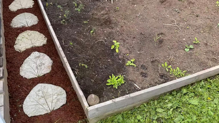 Add a fun personal touch to your yard with these DIY stepping stone ideas