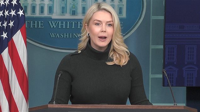 White House blames 'hostile resistance' by Democrats for fatal ...