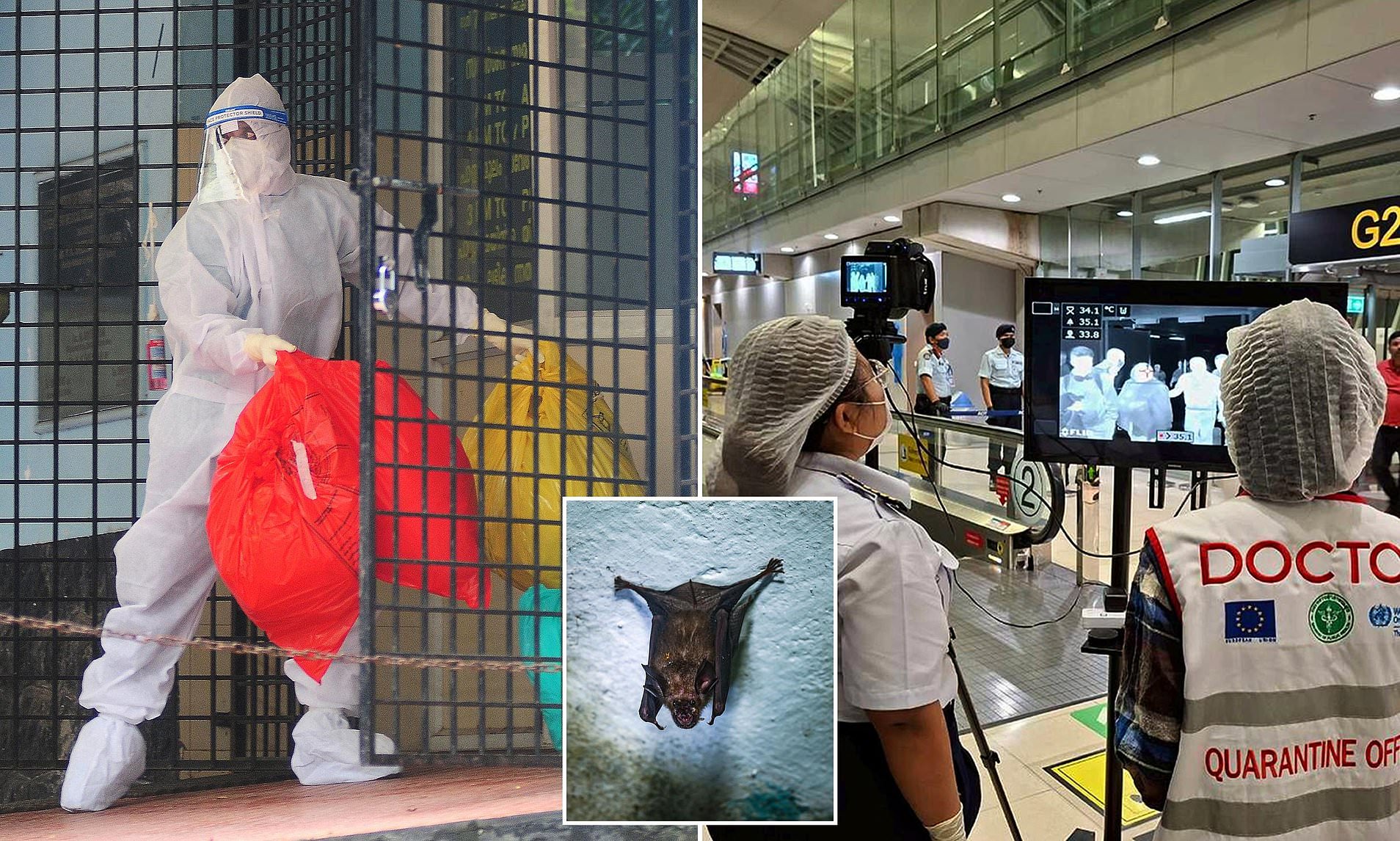 Officials reinstate COVID-era quarantines after outbreak of deadly ...