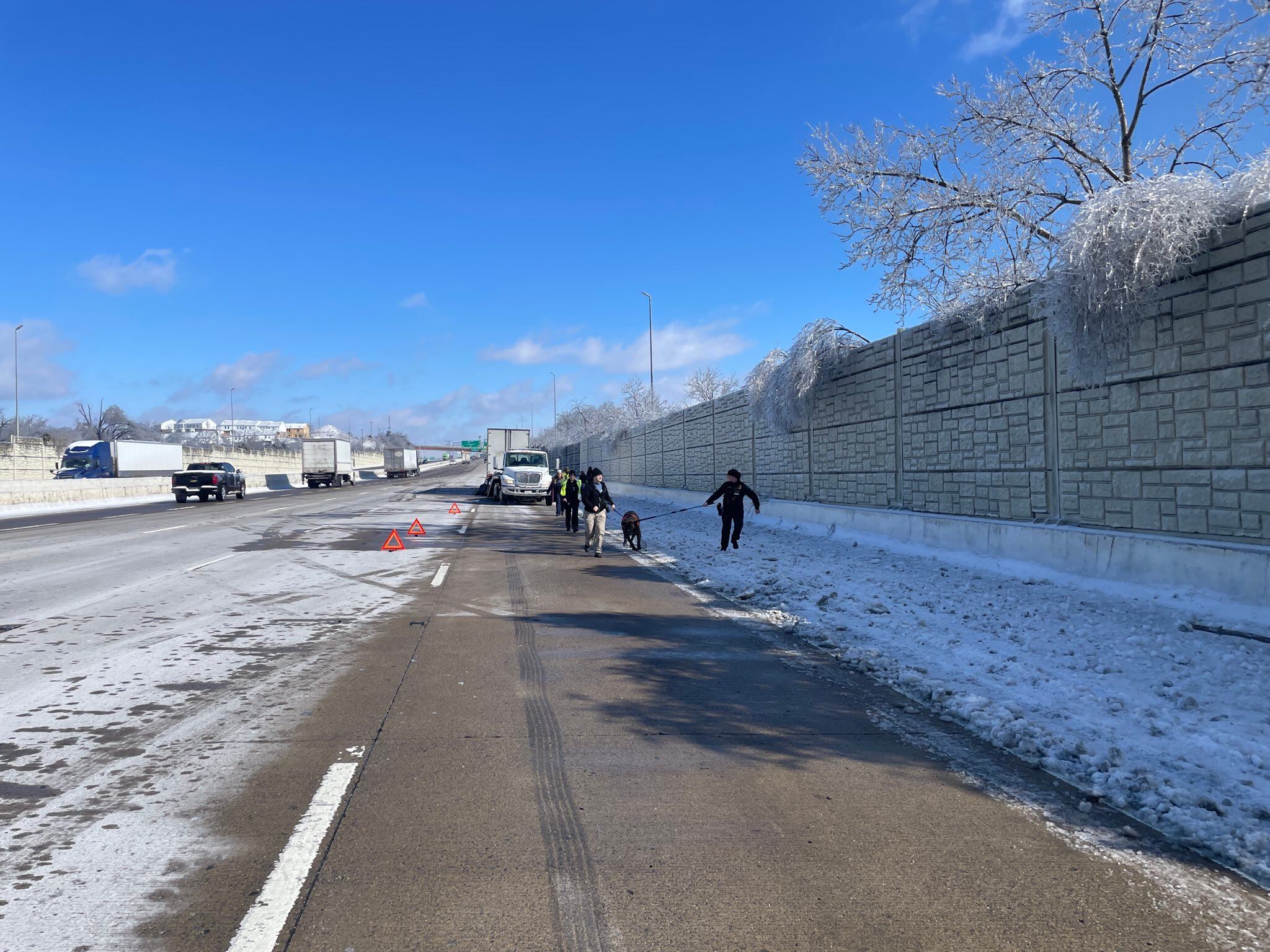 State transportation worker helps rescue driver, dog after crash on ...