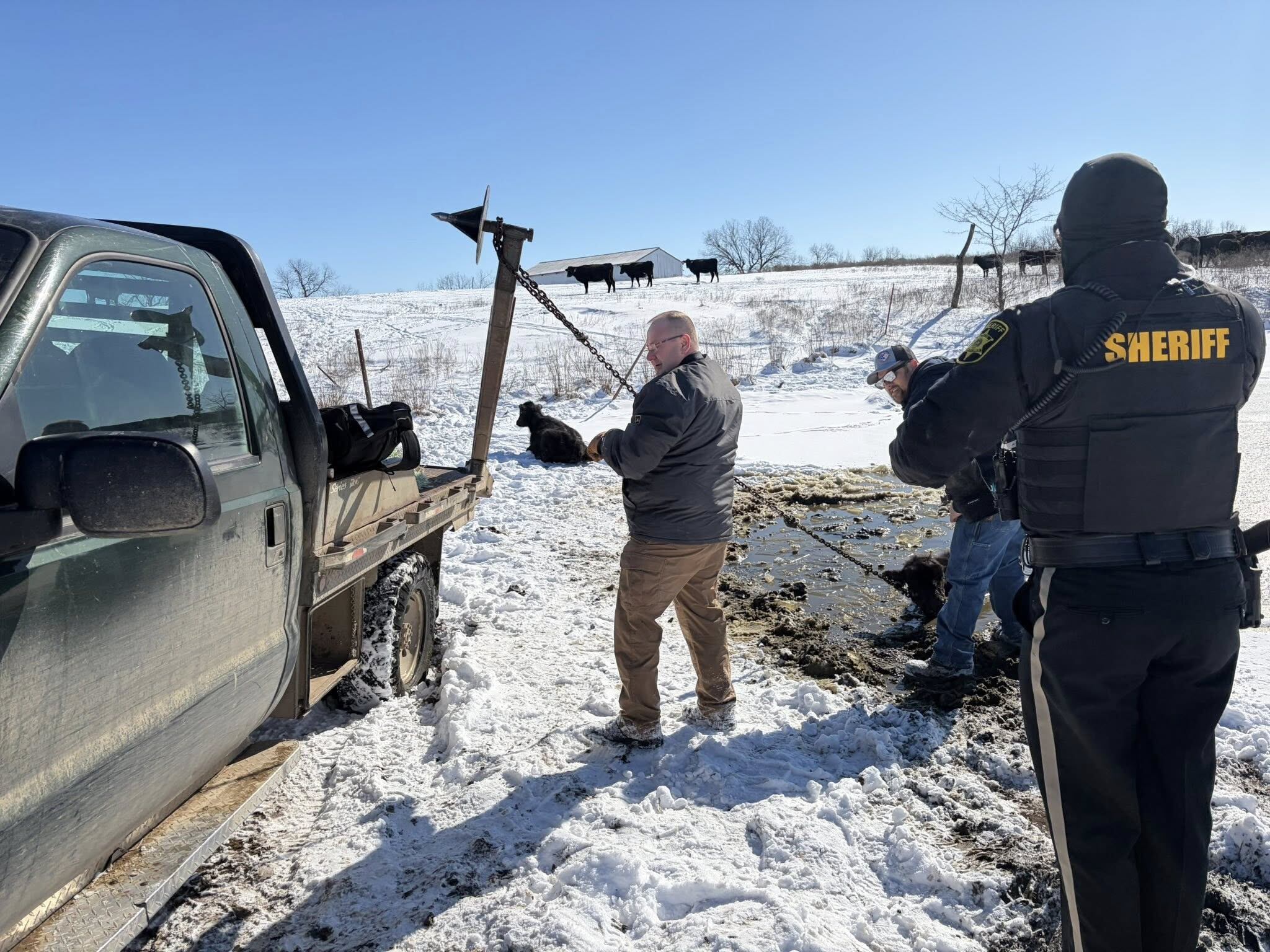 Man, calf rescued after plunging through ice on Missouri pond
