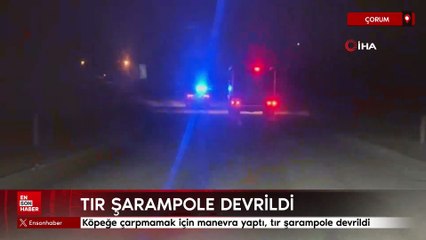 Çorum'da köpeğe çarpmamak için manevra yaptı, tır şarampole devrildi