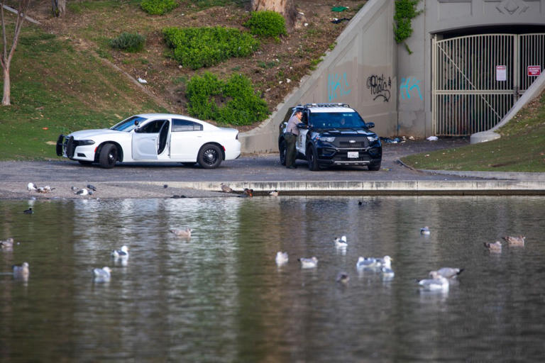 Search for bodies, guns in LA’s notorious MacArthur Park is allegedly ...