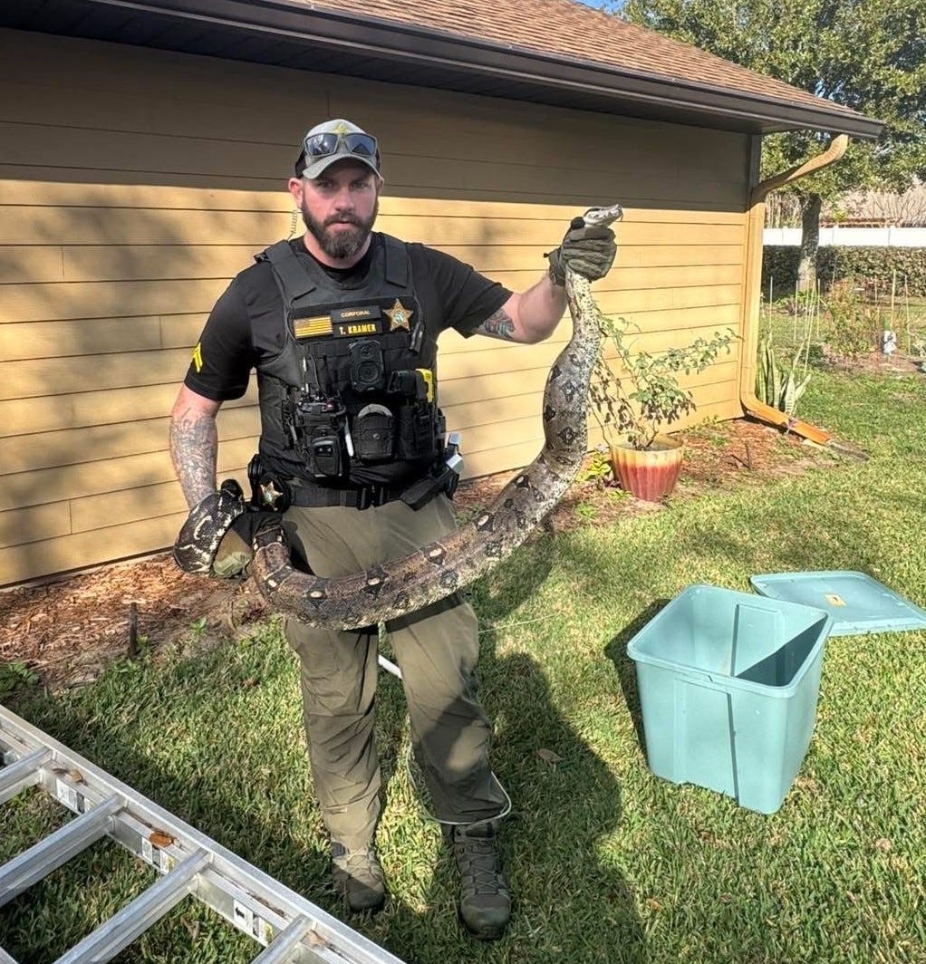 Owner picks up massive snake wrangled by deputy in Florida
