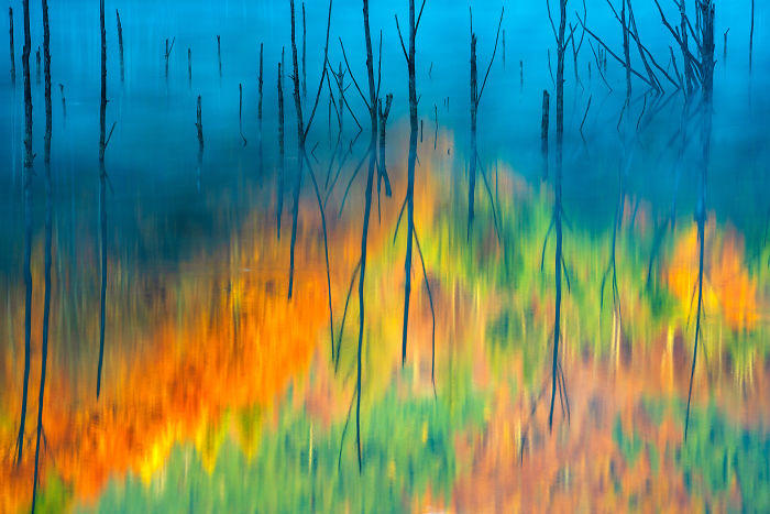 The 30 winning pictures of the 2019 Nature Photographer of the Year