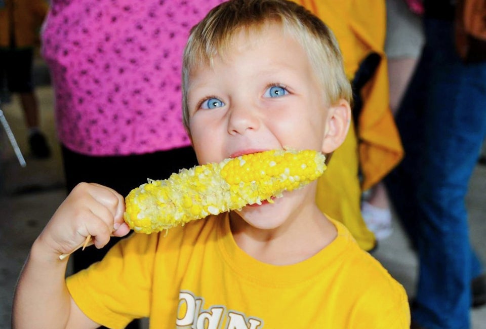 Dinosaur World, children's theater, and more great things to do in ...