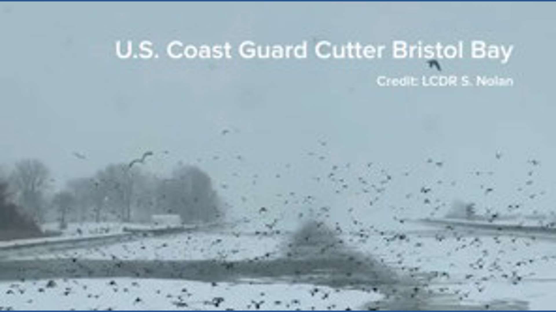 US Coast Guard cutter stirs up flock of birds while breaking ice