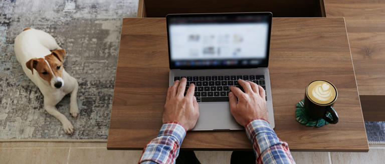 Pets go to work: How to create a pet policy for your office