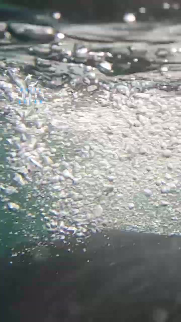 Ocean giant great white shark teeth inches from the GoPro #greatwhite