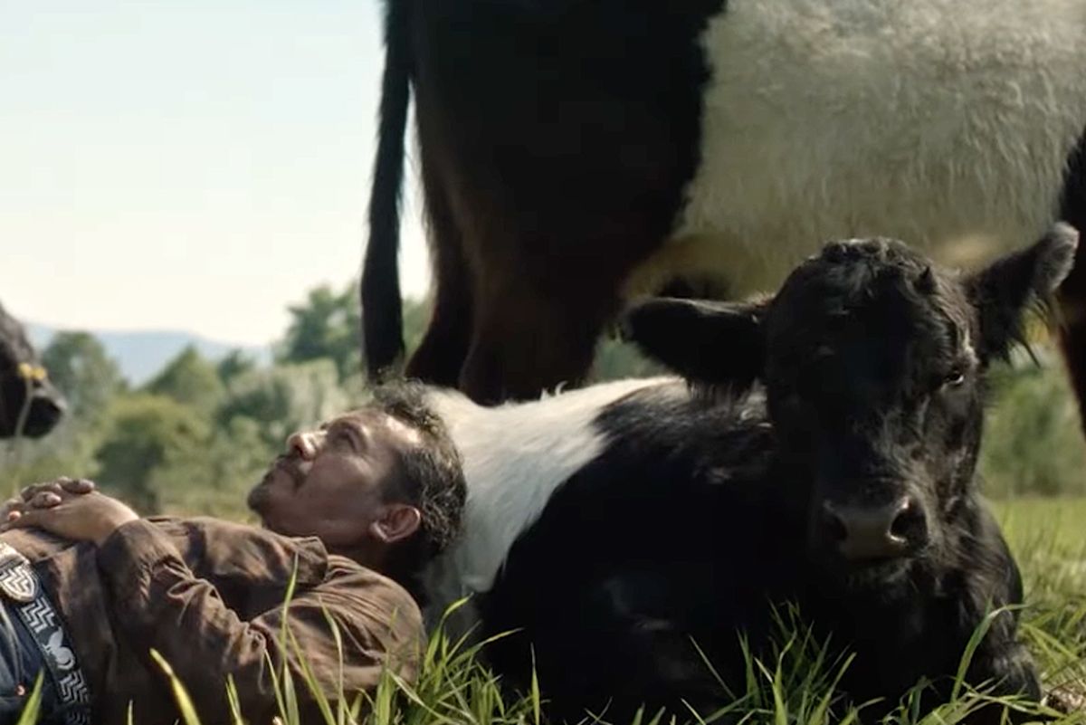 Yes, those are real ‘Oreo cows’ in Oreo’s new milk-dunking commercial
