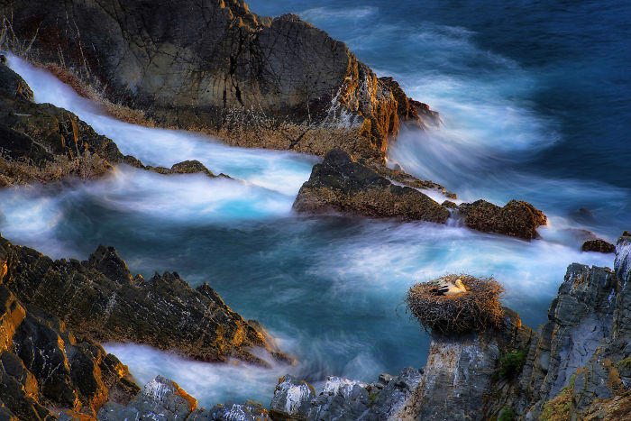 The 30 winning pictures of the 2019 Nature Photographer of the Year