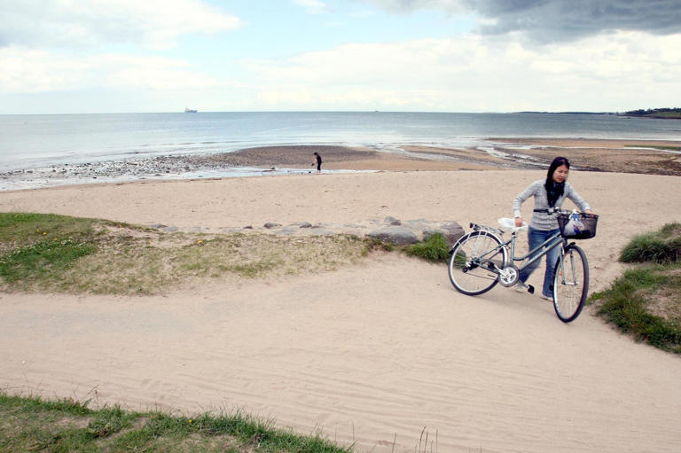 Helen's Bay death: Woman who died was regular swimmer at popular beach