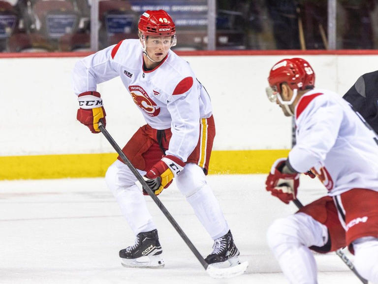 Flames prospect Andrew Basha thriving in return to WHL