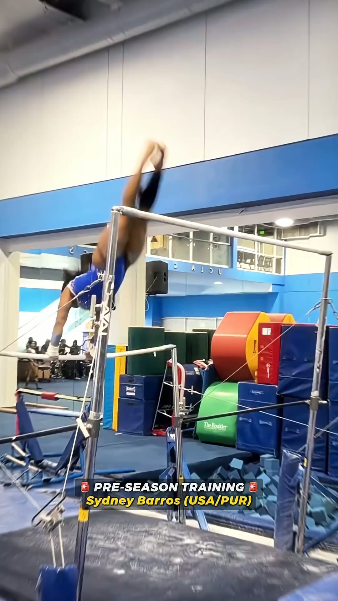 Bruins are looking strong 🐻