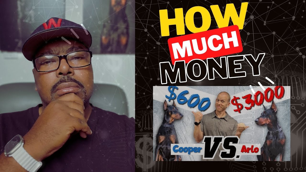 Dogumentary TV reaction: How my $3000 Doberman is different from my ...