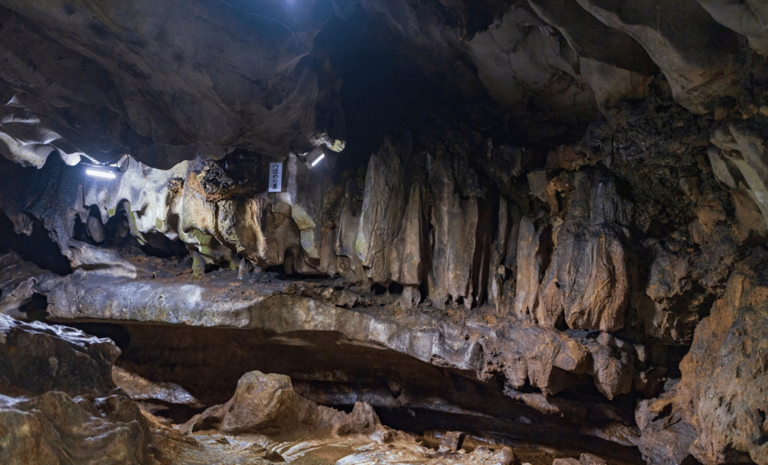 New Neanderthal population found to have lived in total isolation for ...