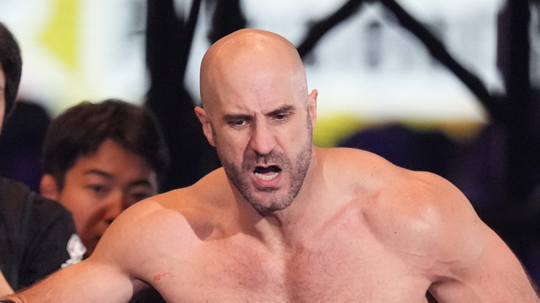 CMLL star answers AEW's Claudio Castagnoli open challenge for Arena ...