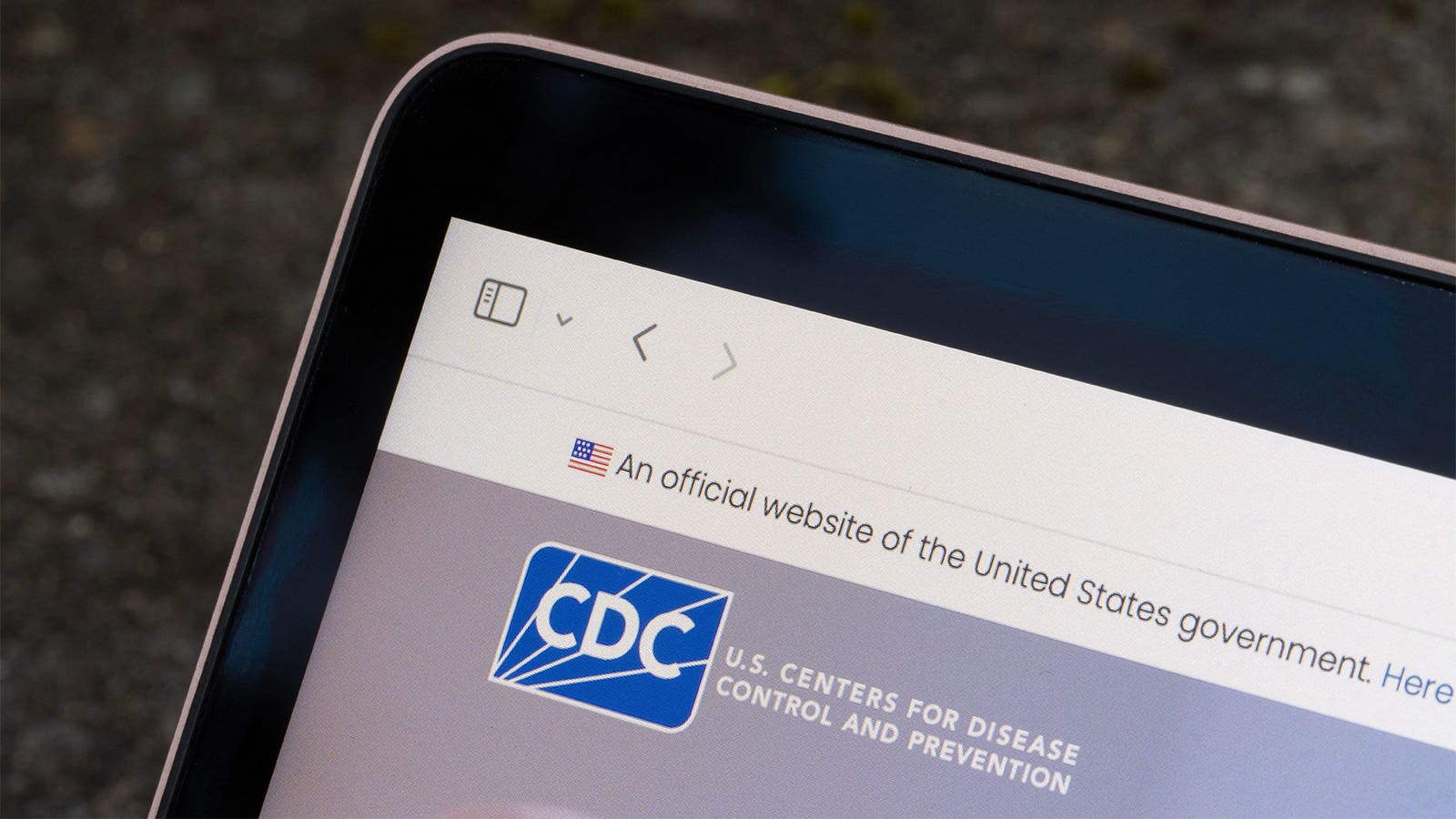 CDC stopped updating key vaccine, infectious disease databases in 2025