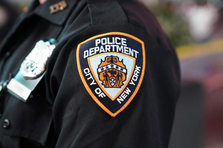 NYPD cop who shot 'vicious' raccoon on NYC boardwalk finds himself in ...