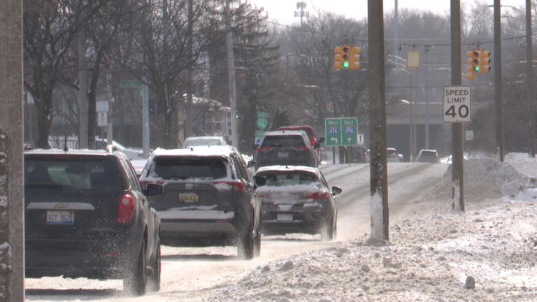 Lansing officials are urging drivers to slow down on icy roads