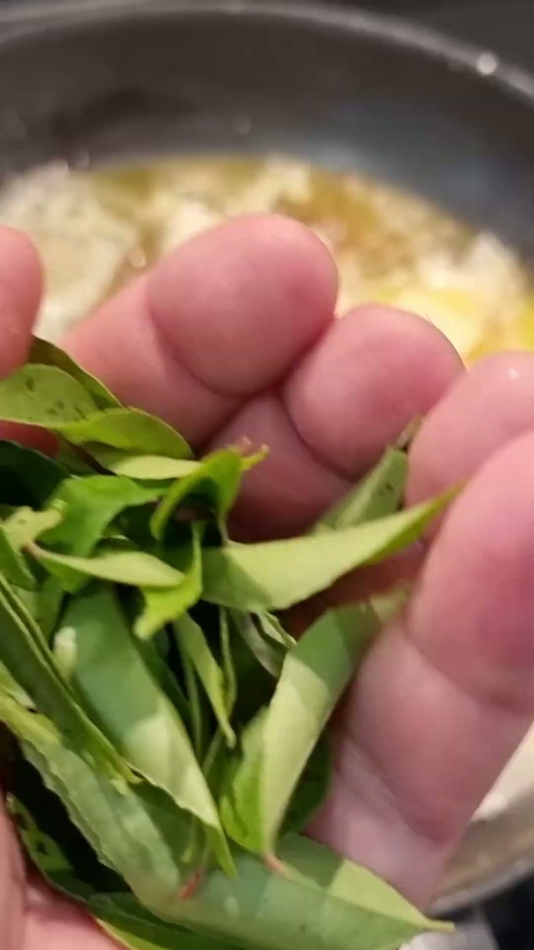 We give curry leaves to a new Indian restaurant