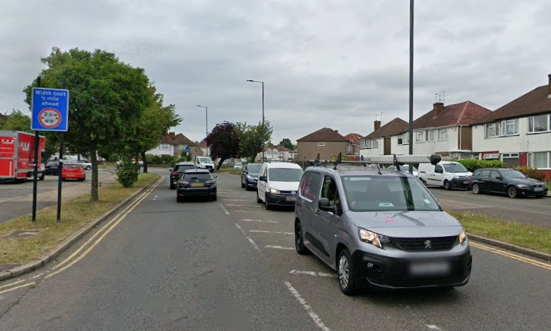 Boy, 10, is fighting for his life after car ploughed into him as he ...