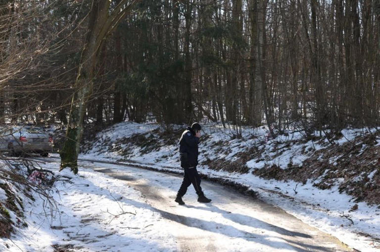 Mystery of 'cartel leader' found dead in woods after smuggling 324 ...