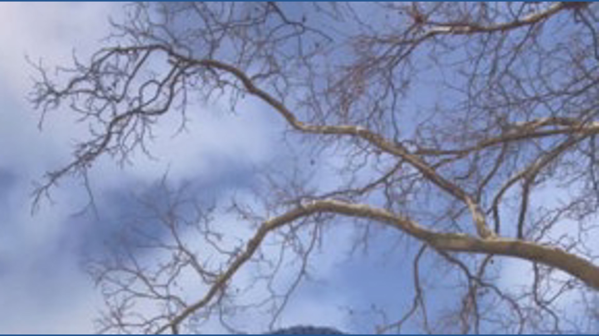 Storm tracking - Checking on street plowing