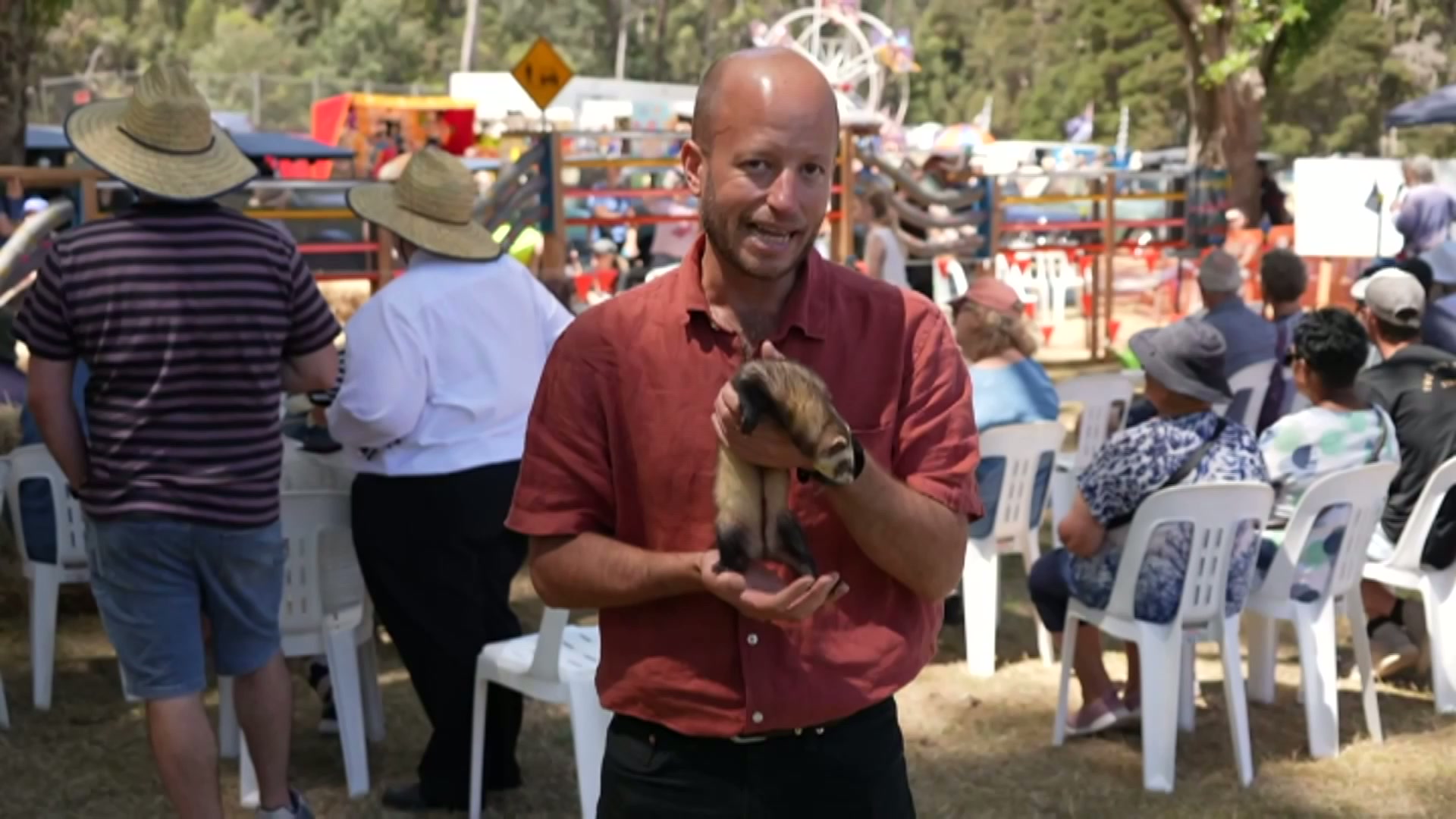 Ferret racing and woodchopping among events at Northwest Tasmania ...