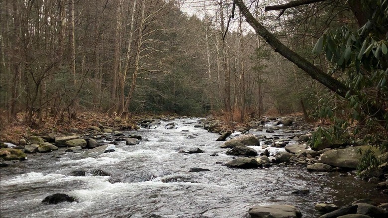 Pennsylvania's best-kept secret for hiking in the Poconos