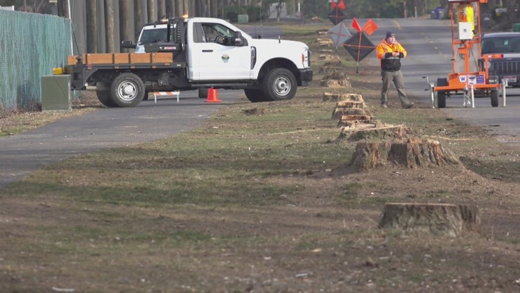 Crews remove more than 50 trees near Liberty Lake Golf Course ...