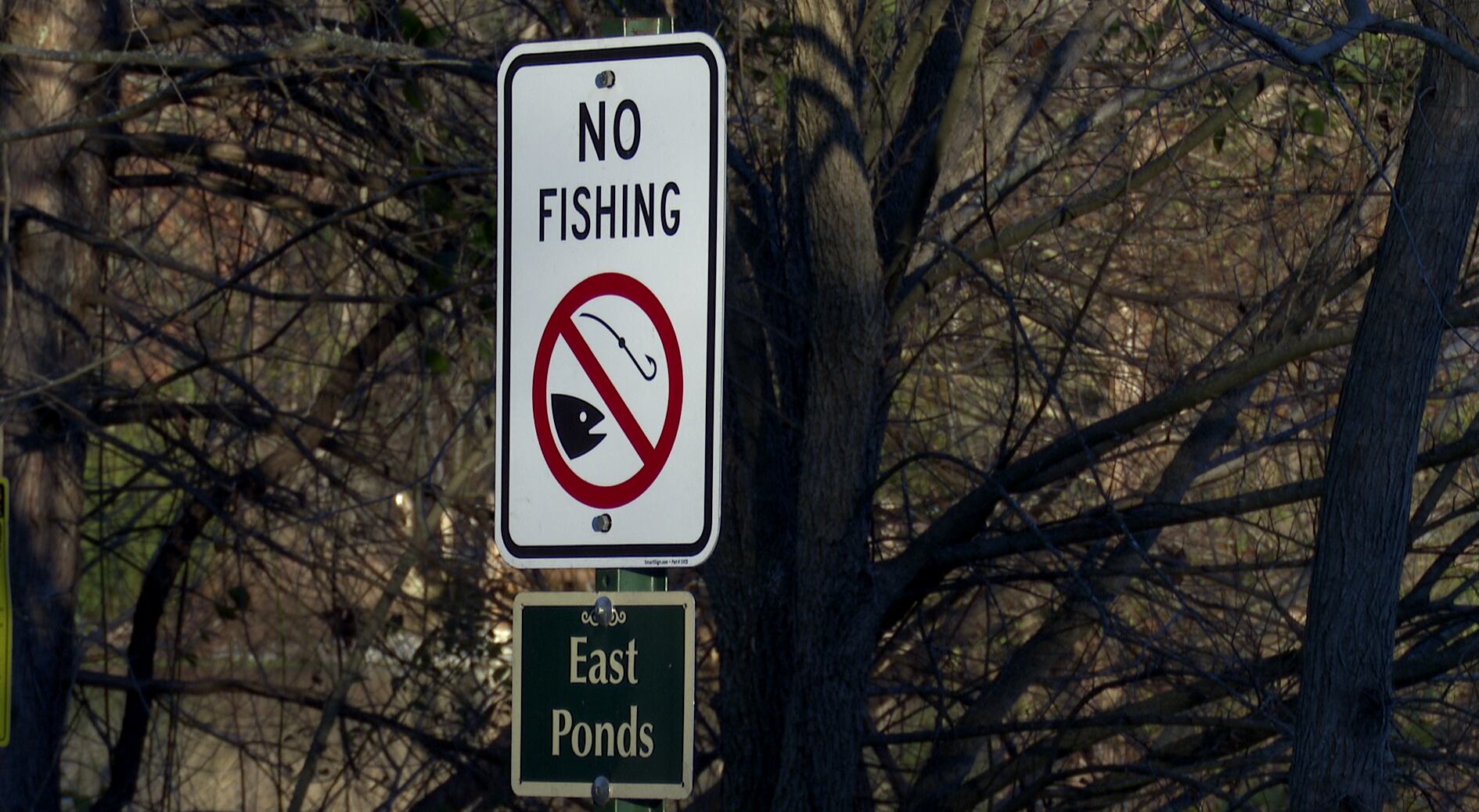 North Augusta City Council discusses cyber center land purchase and ...