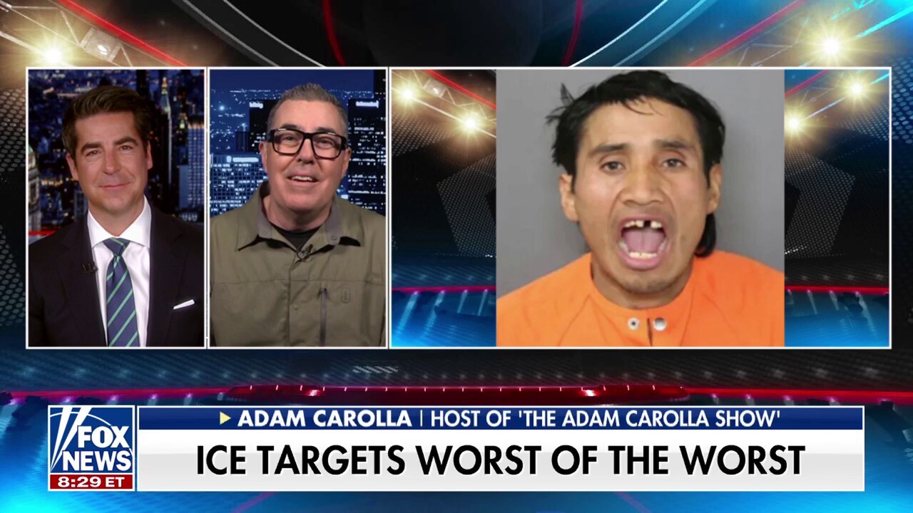 Comparing US law enforcement to Nazis is deeply offensive, Adam Carolla ...