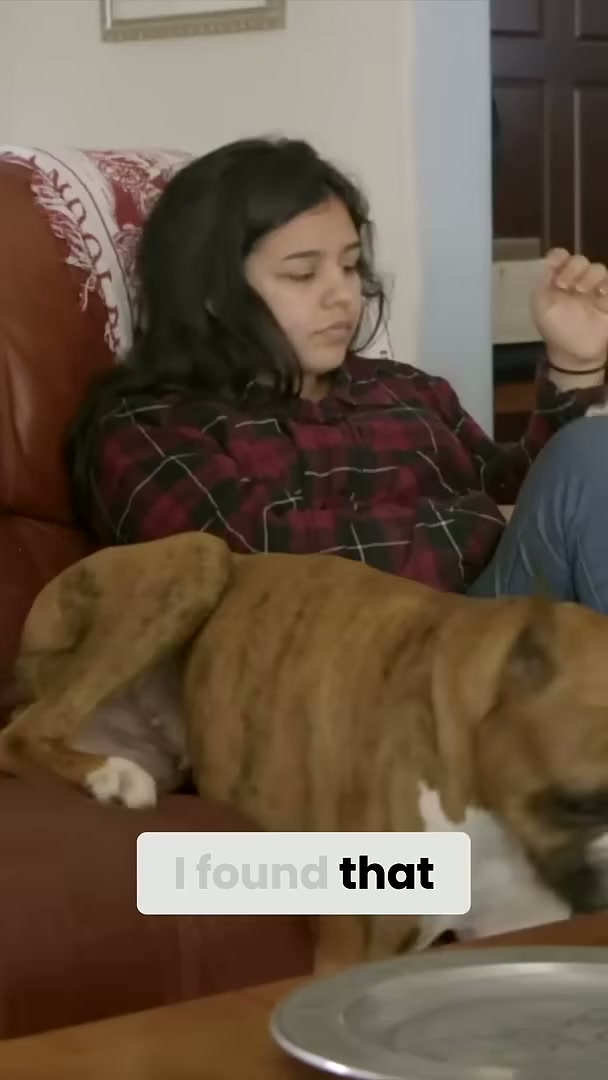 Why boxers make the perfect family companion