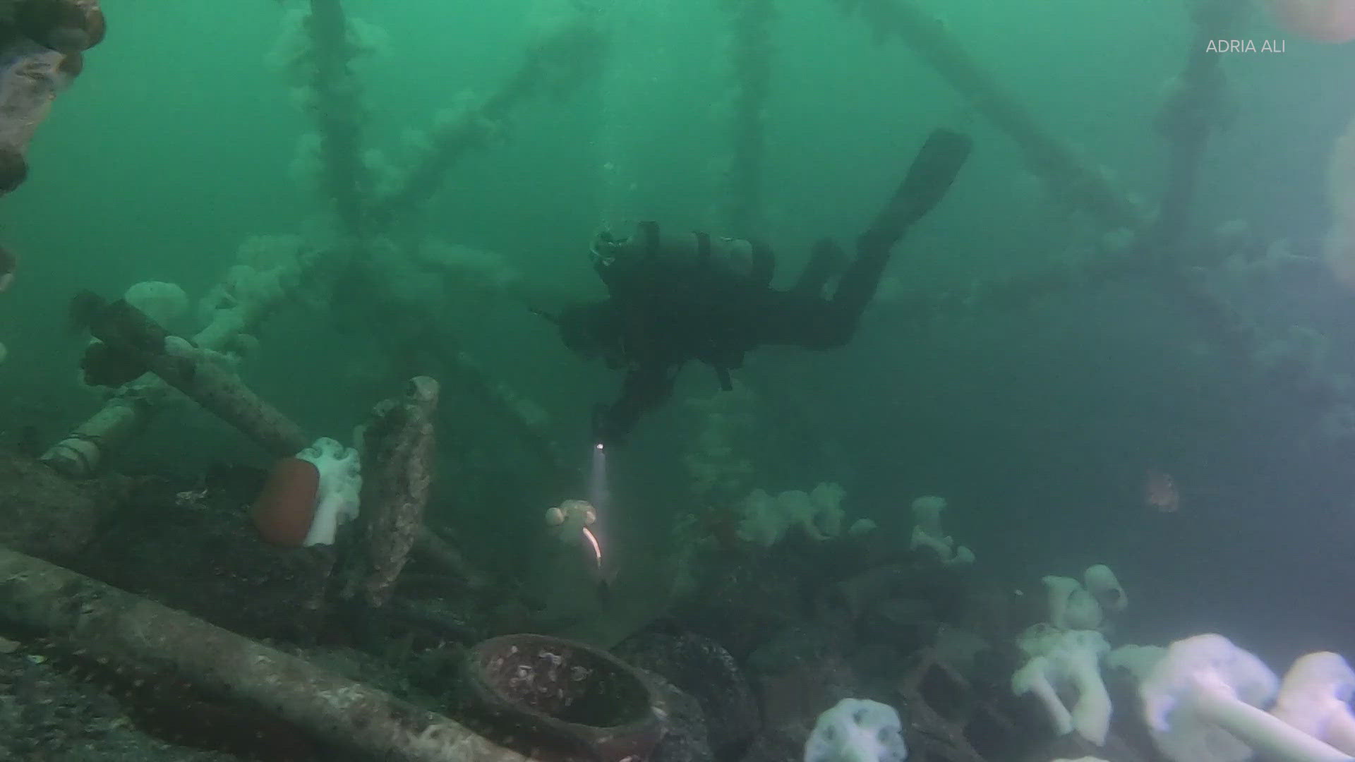 Mukilteo's scuba diving park plan hits rough waters