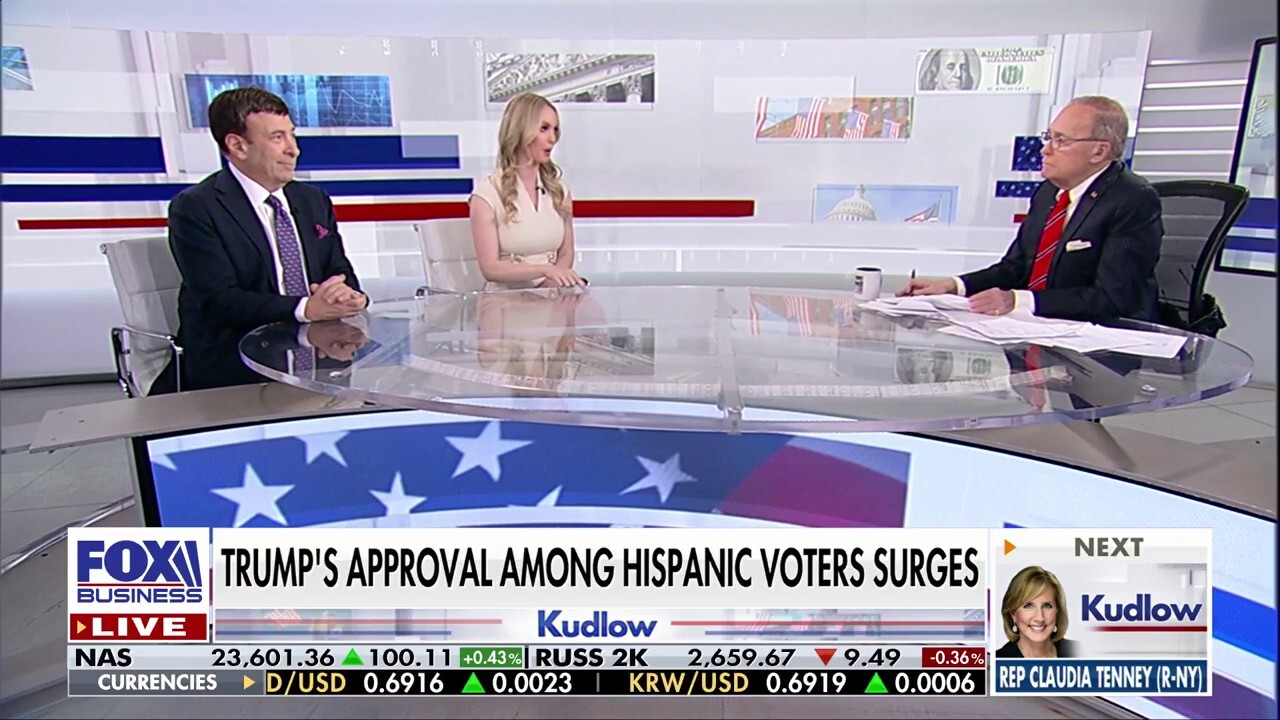 There's more anti-ICE activity in Minnesota because of 'well funded ...